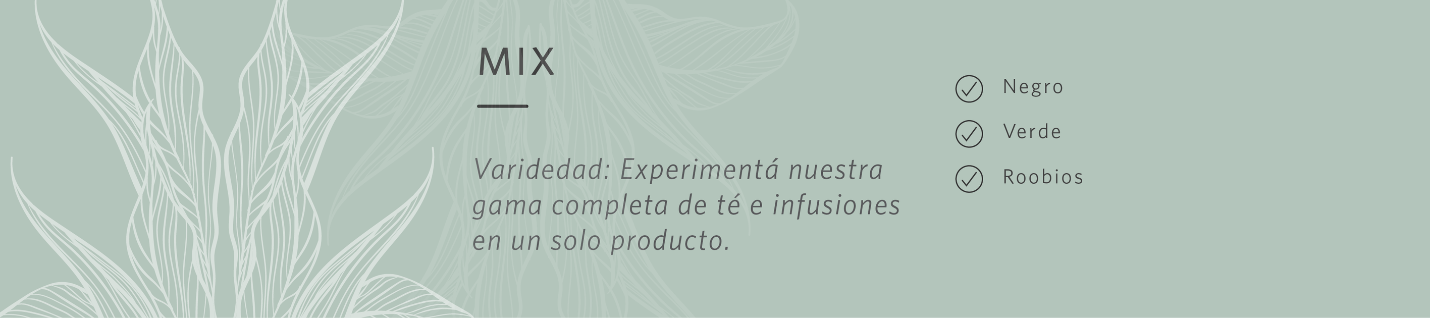 Mix Té: Variedad y Sabor en Cada Taza | Inti Tea — INTI TEA SHOP