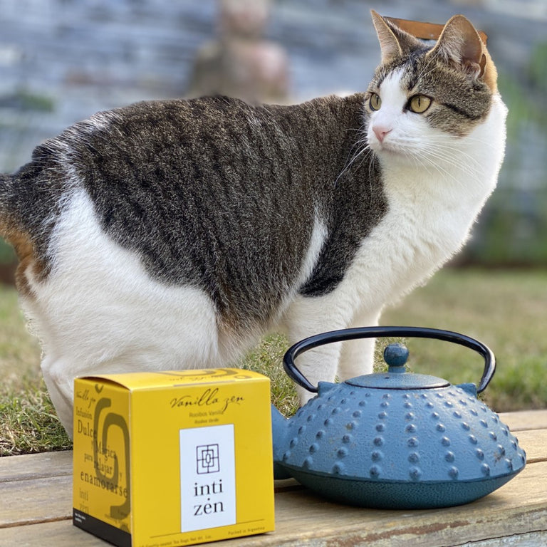 Zen Collection: Infusiones para Calma y Equilibrio | Inti Tea — INTI ...